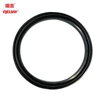 China Hydraulic Oil Fuel Tank Seal Corrosion Resistant Rod Seal 20mm 30mm REIJAY for sale
