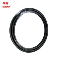 China Hydraulic Oil Fuel Tank Seal Corrosion Resistant Rod Seal 20mm 30mm REIJAY for sale