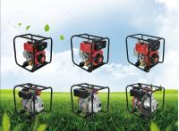 China 13.5L Portable Diesel Fire Pump 6.3kw Small Fire Fighting Pump for sale