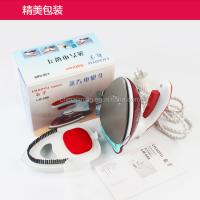 China LM-688A Travel Steam Iron 800W Dual Voltage 110V-230V with Burst Steam Function for Home and Travel Use for sale