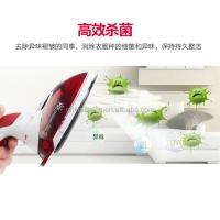 China LM-688A Travel Steam Iron 800W Dual Voltage 110V-230V with Burst Steam Function for Home and Travel Use for sale