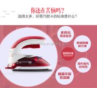 China LM-688A Travel Steam Iron 800W Dual Voltage 110V-230V with Burst Steam Function for Home and Travel Use for sale