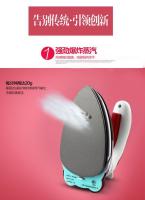 China LM-688 Travel Steam Iron 800W with Stainless Steel Soleplate - Dual Voltage 110V/220V for Home and Travel Use for sale