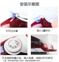 China LM-688 Travel Steam Iron 800W with Stainless Steel Soleplate - Dual Voltage 110V/220V for Home and Travel Use for sale