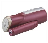 China 800W Power and Anti Dry Burning Capability LM-1903 Portable Handheld Garment Steamer for sale