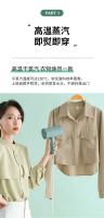 China LM-2006 Foldable Handheld Garment Steamer with 150ml Tank, 20-Second Heat-Up & 600g Lightweight Design for sale
