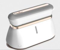 China Hotel Maintenance Private Mold LM-2202 Hand-Held Steam Hanging Ironing Machine for sale