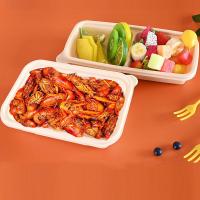 China Hot Food Bio Degradable Food Packaging Plant Based With UV Coating for sale