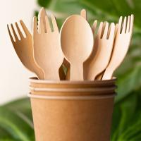 China Eco Friendly Disposable Wooden Cutlery Set With OEM Service Biodegradable Cutlery for sale