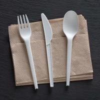China Customized Disposable Plastic Cutlery Professional For Catering Events Parties for sale