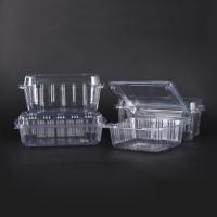 China PET Fruit Container Disposable Plastic Containers With Dome Lid Disposable Clear Box for sale