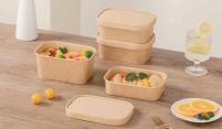 China Disposable Eco Friendly Kraft Container Disposable Paper Packaging for sale