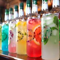 China 4oz 8oz 16oz clear Plastic Jars with Lids 250ml 330ml Cold Drinking Plastic Juice Bottles for sale