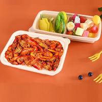 China 8 Inch Take Out Food Microvable Biodegradable 100% Compostable to Go Corn Starch Lunch Box Container for sale