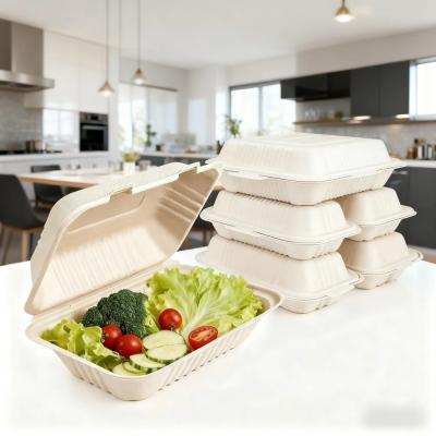 China 8 Inch Take Out Food Microvable Biodegradable 100% Compostable to Go Corn Starch Lunch Box Container for sale