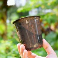 China Disposable U Shaped Plastic Cups for sale