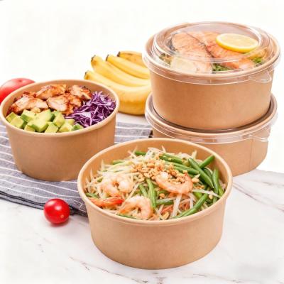 China Hot Food Takeaway Eco Containers Biodegradable Kraft Paper Bowl with Lid for sale