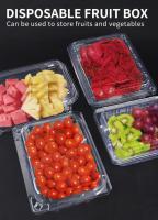 China PET Fruit Container Disposable Plastic Containers With Dome Lid Disposable Clear Box for sale