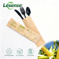 China Biodegradable PP & Cornstarch Utensils – Eco-Friendly Disposable Cutlery for Modern Foodservice for sale
