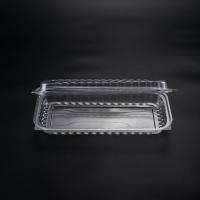 China Factory Custom Eco Takeaway Food Packaging Plastic Box for sale