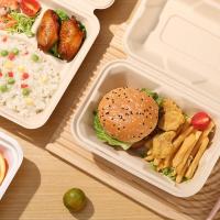 China China Manufacturers Microwavable Disposable Salad Container Bagasse Clamshell Food Containers for sale