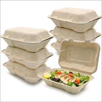 China China Manufacturers Microwavable Disposable Salad Container Bagasse Clamshell Food Containers for sale