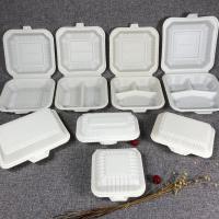 China Biodegradable Clamshell Corn Starch Food Container Takeaway Plastic Lunch Box for sale