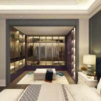 China Cloakroom Tempered Door Glass Walk In Personal For Home Hotel for sale