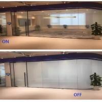 China CE Approval Switchable Smart Glass Privacy Protection Magic Smart Glass for sale