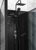China Matt Black Aluminum Alloy Frame Shower Enclosure 80x190cm with ABS Tray Pivot Door for sale