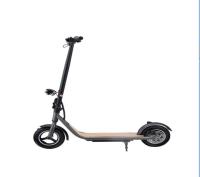 China Foldable Electric Scooter 350W Rear Drive 10inch Off Road Adult Kick Scooter 15-25km/h for sale