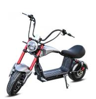 China Citycoco 1000W Wide Wheel Off Road Electric Motorcycle 48V Lithium Battery CE for sale