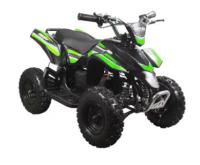 China Electric ATV 1000W 36V Mini Quad Bike for Kids with Front and Rear Suspension for sale