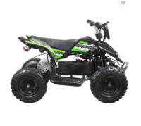 China Electric ATV 1000W 36V Mini Quad Bike for Kids with Front and Rear Suspension for sale