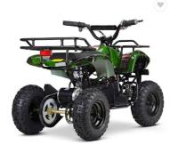 China Electric ATV Quad Bike 36V 800W 1000W 4 Wheel with CE Certificate for sale
