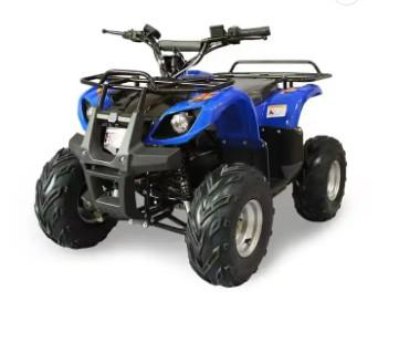 China 48V 60V 1500W Electric ATV Quad Bike Sports Quad for Adults with 42km/h Max Speed for sale