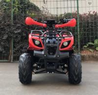 China 48V 60V 1500W Electric ATV Quad Bike Sports Quad for Adults with 42km/h Max Speed for sale
