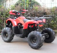 China 48V 60V 1500W Electric ATV Quad Bike Sports Quad for Adults with 42km/h Max Speed for sale