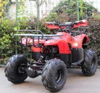 China 48V 60V 1500W Electric ATV Quad Bike Sports Quad for Adults with 42km/h Max Speed for sale