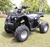 China 48V 60V 1500W Electric ATV Quad Bike Sports Quad for Adults with 42km/h Max Speed for sale