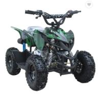 China 4 Stroke 125cc Kids ATV Quad Bike Electric Start 45km/h Youth Off Road for sale