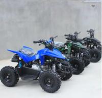 China 4 Stroke 125cc Kids ATV Quad Bike Electric Start 45km/h Youth Off Road for sale