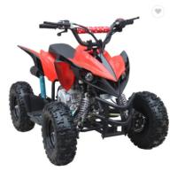 China 4 Stroke 125cc Kids ATV Quad Bike Electric Start 45km/h Youth Off Road for sale