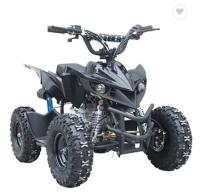 China 4 Stroke 125cc Kids ATV Quad Bike Electric Start 45km/h Youth Off Road for sale