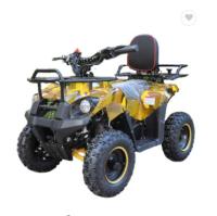 China 49cc 2 Stroke Mini ATV Quad Bike for Kids Electric Start Chain Drive 45km/h for sale
