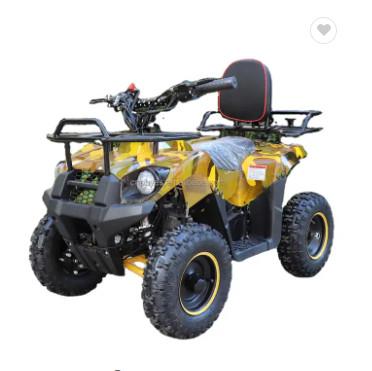 China 49cc 2 Stroke Mini ATV Quad Bike for Kids Electric Start Chain Drive 45km/h for sale