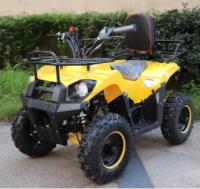 China 49cc 2 Stroke Mini ATV Quad Bike for Kids Electric Start Chain Drive 45km/h for sale