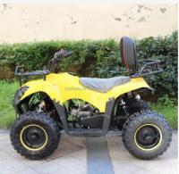 China 49cc 2 Stroke Mini ATV Quad Bike for Kids Electric Start Chain Drive 45km/h for sale