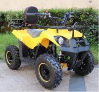 China 49cc 2 Stroke Mini ATV Quad Bike for Kids Electric Start Chain Drive 45km/h for sale