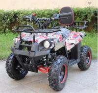China 49cc 2 Stroke Mini ATV Quad Bike for Kids Electric Start Chain Drive 45km/h for sale